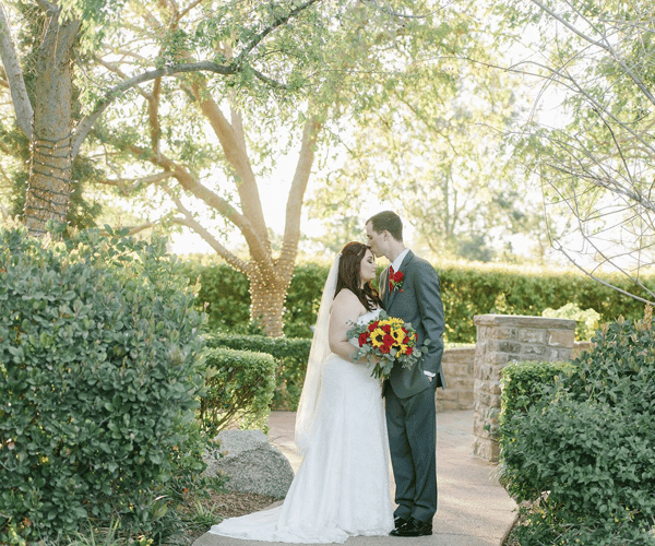 Explore Stonebridge Manor, AZ