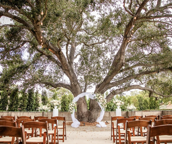 Dove Canyon: Stunning Views & Midcentury Elegance by Wedgewood Weddings