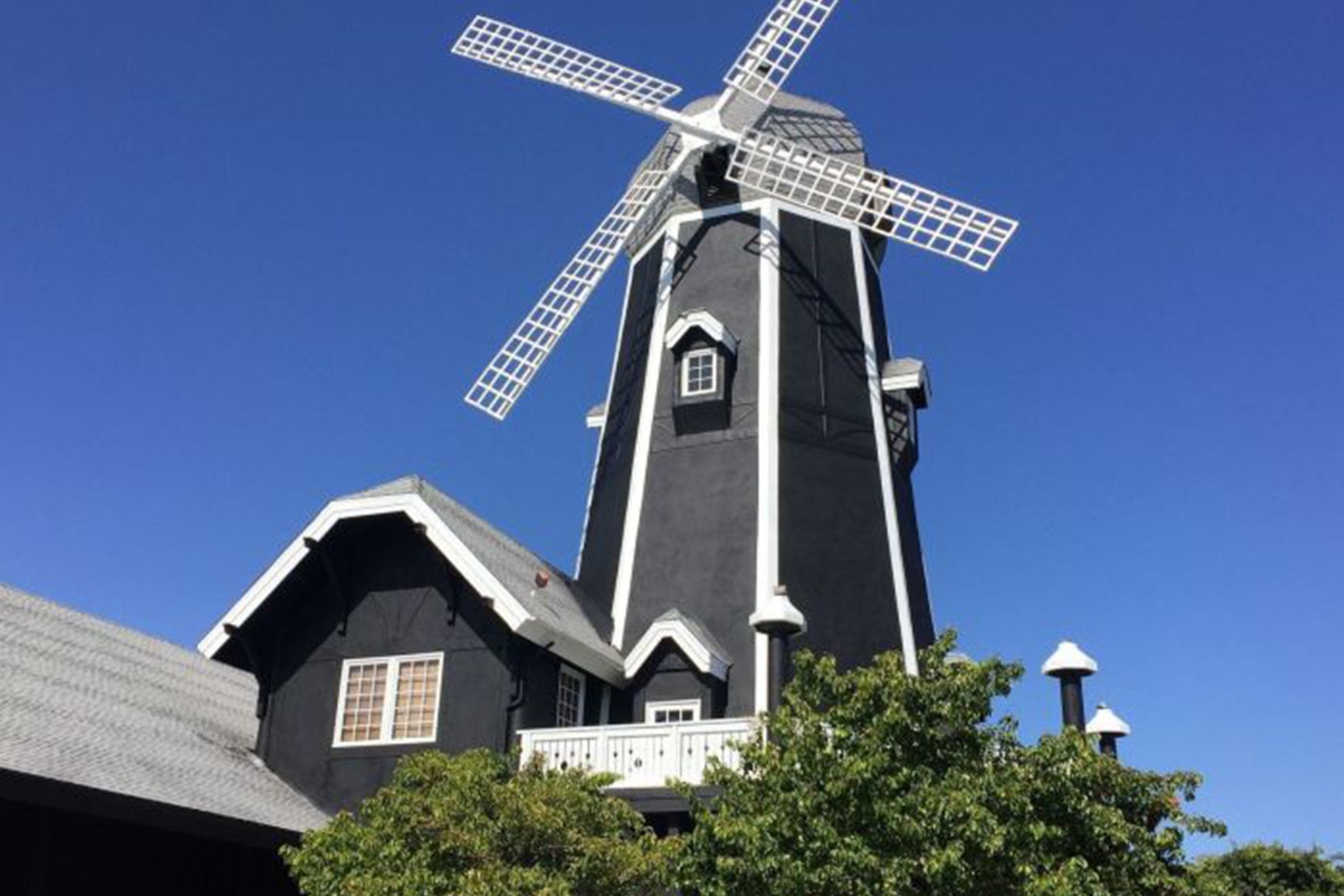 The Iconic Carlsbad Windmill - Wedgewood Weddings' Newest Venue