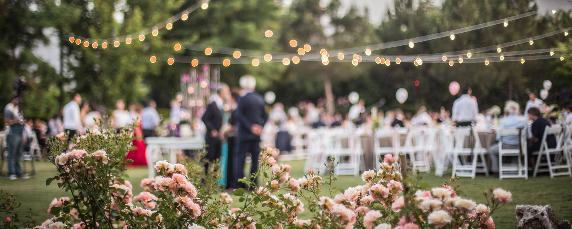 Carolina Wedding Venues: Stunning Event Centers & Romantic Farms ...