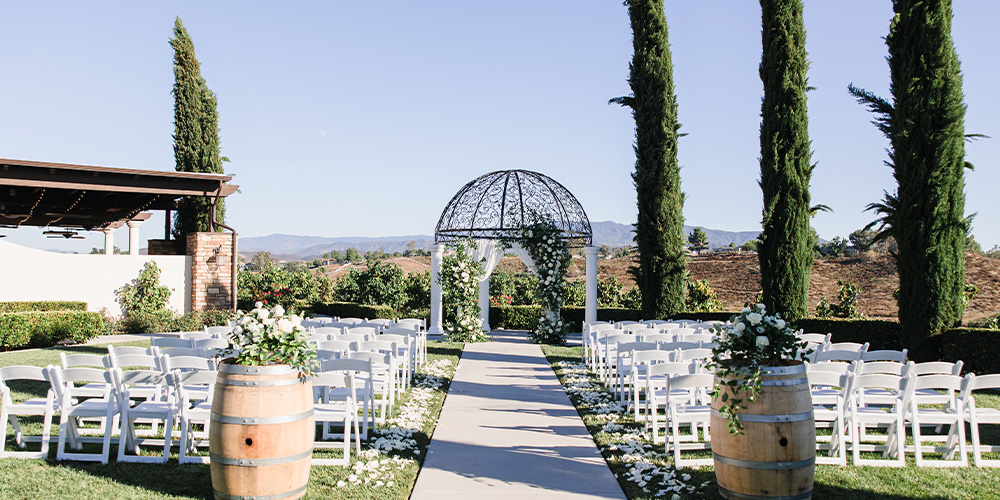 Truffle Pig Winery Wedding Venue: Vineyard Vistas & Timeless Elegance ...